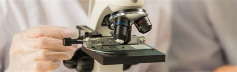 解析サービス 電子デバイスならdevice Square