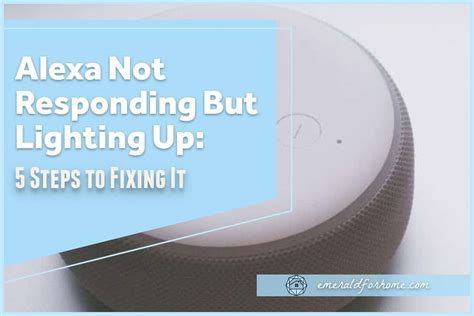 Alexa Not Responding But Lighting Up Step By Step Fixes Rocky Mtn Ruby