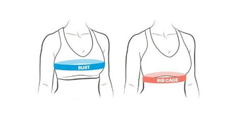 Measuring Correct Bra Size Calculator