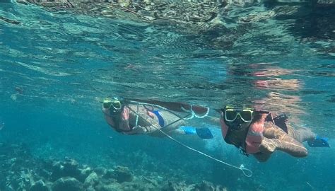 Zona De Snorkel Mahahual 2025 All You Need To Know Before You Go W