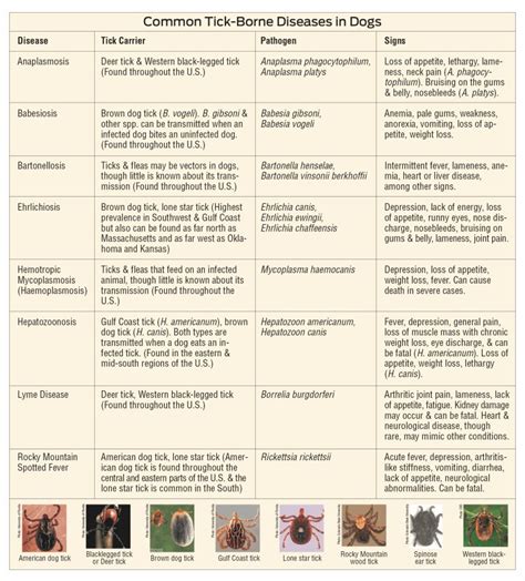 Common Tick Borne Diseases