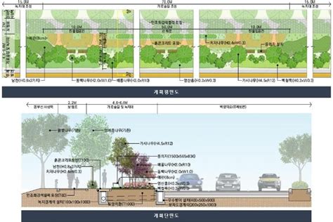 숲의 도시 만든다…부산시 도시바람길숲 2단계 조성 나무뉴스