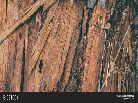 Splintered Wood Image And Photo Free Trial Bigstock