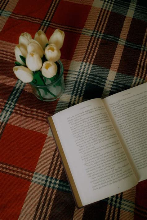 검소한 격자 무늬 모직물 고요한 고요함 고전적인 스타일 공부하다 꽃 꽃꽂이 꽃병 독서하는 따뜻한 분위기 레저 문학 문호 문화 배경을 흐리게