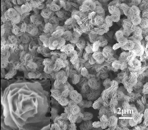 Rosette Nano Cobaltosic Oxide And Preparation Method Thereof Eureka Patsnap