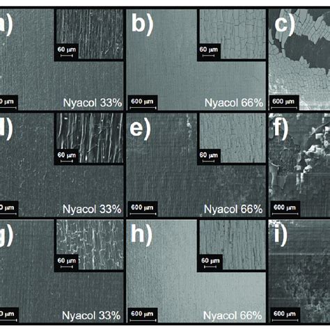 Sem Micrographs Of The Coated Plates With The Different Concentrations