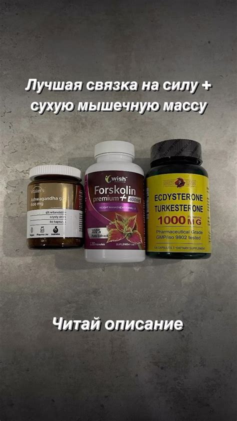 Бодибилдинг Фитнес Техника упражнений Программы тренировок