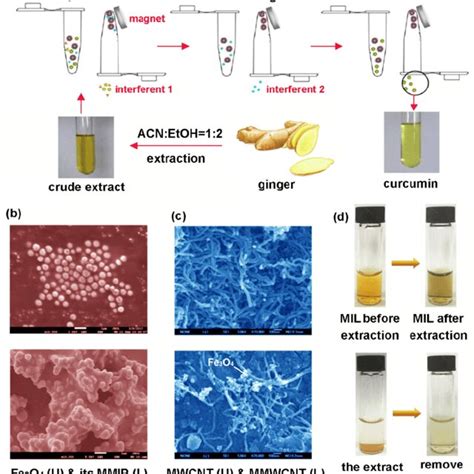 A The Extraction Process Of Curcumin From Ginger By Magnetic