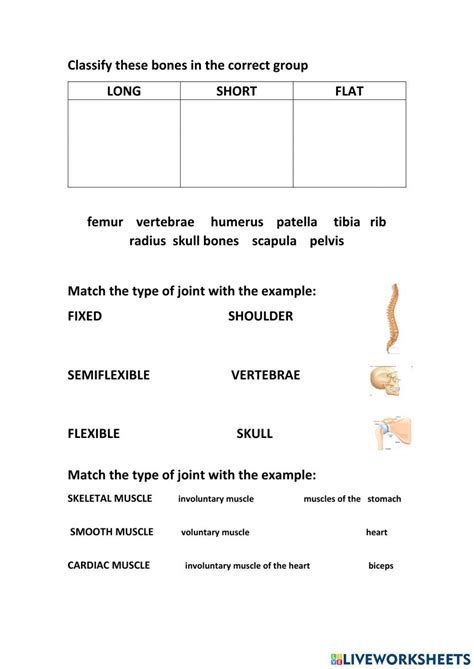 Senses And Locomotor System Worksheet Live Worksheets 47 Off