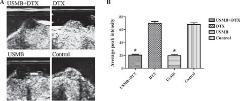 Figure 1 From Low Frequency Ultrasound Mediated Microvessel Disruption Combined With Docetaxel