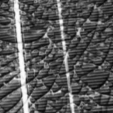 Panel Detection Object Detection Dataset V1 Prepared Data By Solar Panel Defect Detection