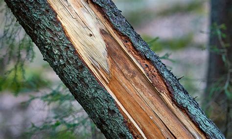 Sample Submission Ica