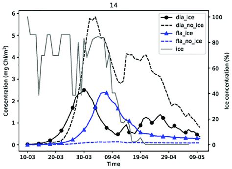 Simulated Diatom And Dinoflagellate Concentrations At Station 14