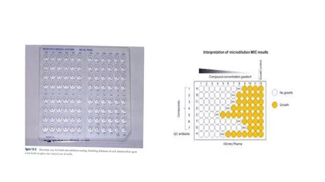 Antimicrobial Susceptibility Testing Microbiology Ppt
