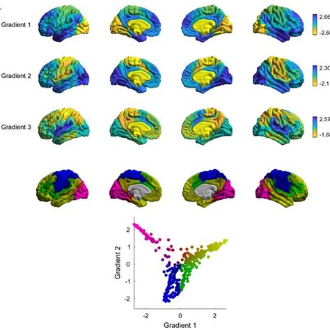 A First Three Gradients Derived From Our Samples Group Average Download Scientific Diagram