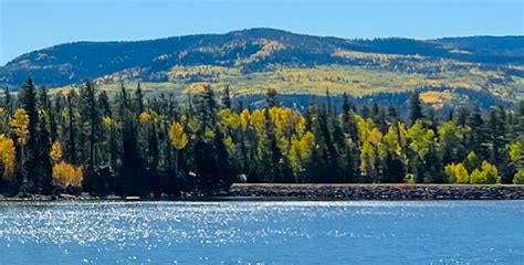 Arizona Fall Colors In Greer 21 Captivating Photos To See