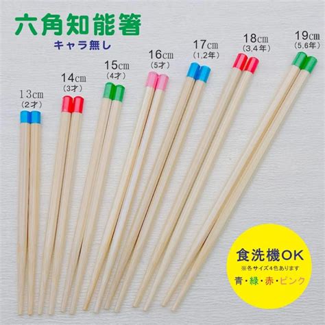 公式 箸匠せいわ 六角知能箸 キャラ無し こども 箸 名入れ 2才 3才 4才 5才 小学生 矯正箸 トレーニング 知育 日本製 幼稚園