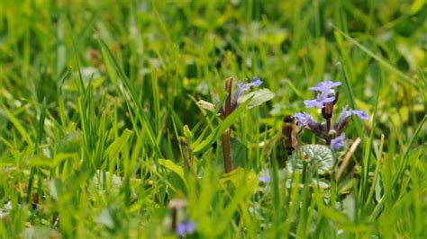 Sigmoid Flexure Billeder Gennemse 499 Stockfotos Vektorer Og Videoer Adobe Stock