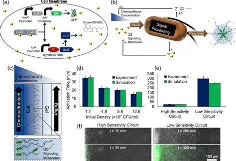 Quorum Sensing For Communication And Decentralized Control Of Download Scientific Diagram