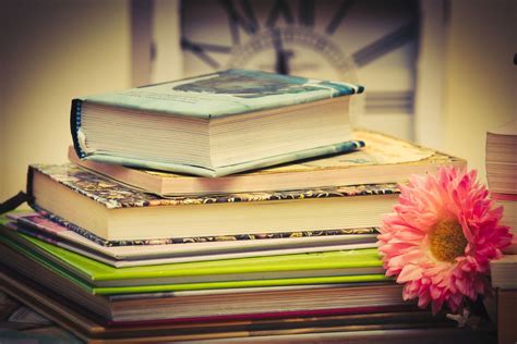 Preface Vs Introduction Vs Foreword Artofit