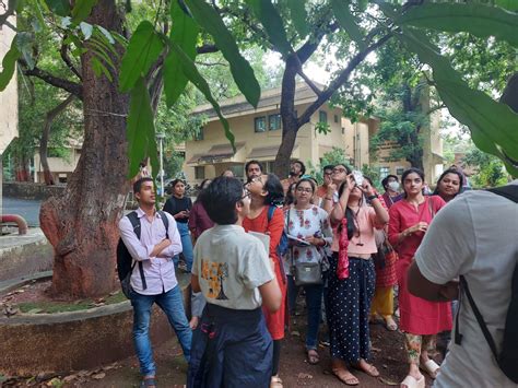 SeasonWatch A Citizen Science Project Documenting Climate Change Through Trees Earth Exponential