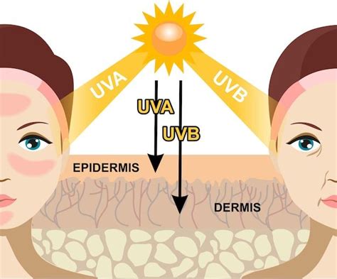 Premium Vector The Difference Of Radiation Types In Sunlight Which Is Harmful To The Skin
