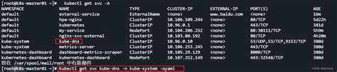 第7章 k8s基础篇 服务发布入门 info[0010] trying next host dial tcp lookup regis csdn博客