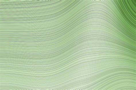 Color Abstract Line Curve And Wave Geometric Pattern Generative Art