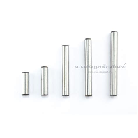 สลักกลมขนาด 10 มิล แพ็คละ 2 ตัว ปิ๊นเหล็กกลมตัน เหล็กแท่งกลมตันเล็ก พินเหล็ก Parallel Pin