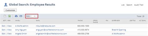 NetSuite Applications Suite Inline Editing Of Global Search Results