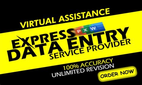 Do Data Entry Typing Work Copy Paste Excel Word Pdf By Jasmine Pr Fiverr