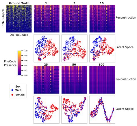 Batch Size Go Big Or Go Home Counterintuitive Improvement In Medical