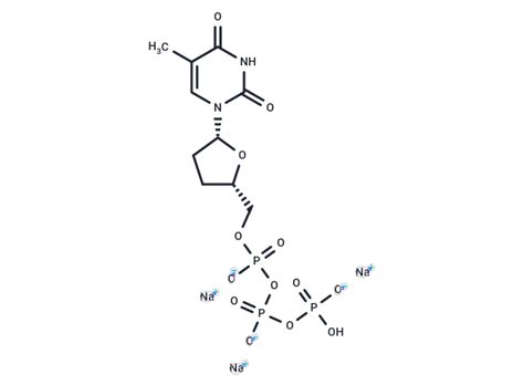 Ddttp Trisodium Dna Rna Synthesis Targetmol