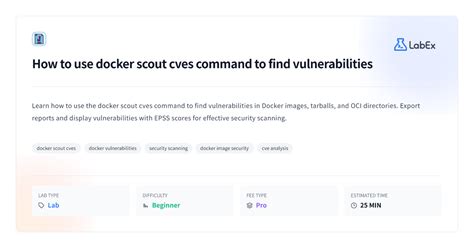 How To Use Docker Scout Cves Command To Find Vulnerabilities Labex