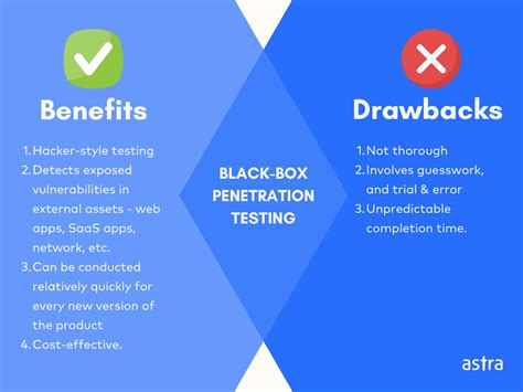 Black Box Penetration Testing A Complete Guide