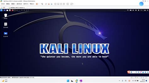 Kali与编程：黑客安全与网络攻防课（讲师答疑）哔哩哔哩bilibili