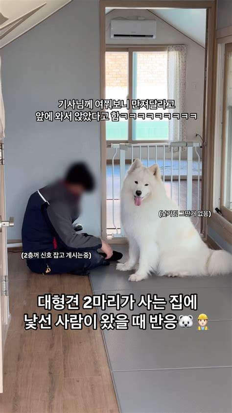 🐻‍ ️🤍👶🏻 얼마 전에 길에서 처음 만난 아가 🤍👶🏻 큰멈머인데도 무서워하지도 않고 용기있게 인사도 했는데요 지오는 자주 엉뚱한 짓을 하는데 저날 또 어딘가에