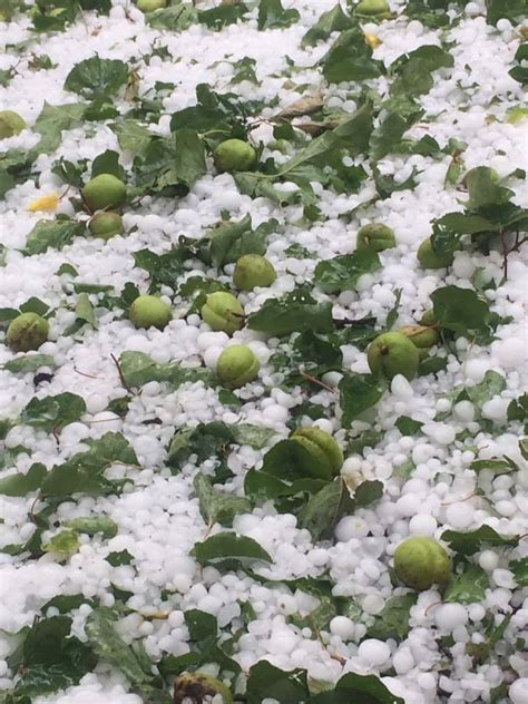 ნინო კვაჭანტირაძე ამაში ღმერთის ხელი არა ეშმაკის ხელი ურევია Face Exclusivenews Ge