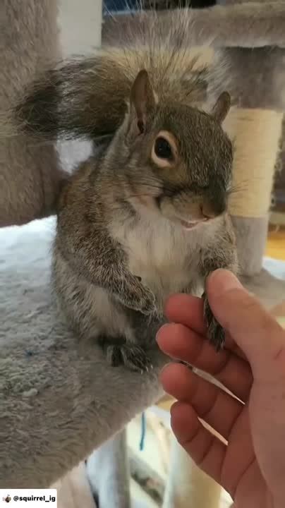 Amly K A On Linkedin Trust