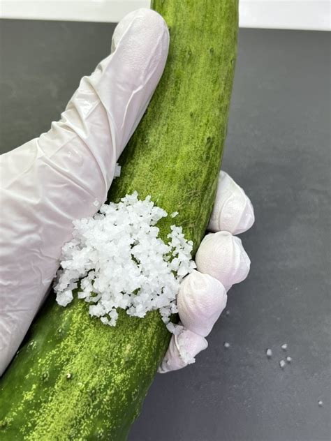 사이다 오이 피클 제철 오이요리 피클만드는법