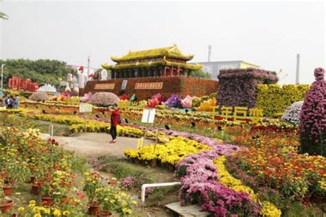 2021中山小榄菊花展开始时间 门票价格 旅泊网