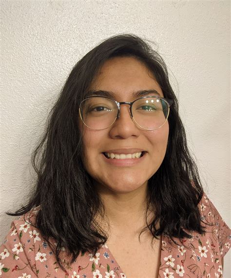 Debbie Badillo Som Federated Model Documentation