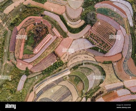 Aerial Photo Shows The Colorful Fields In Yongning District Nanning City South Chinas Guangxi