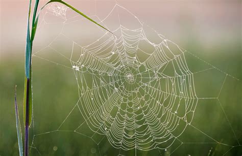 Things That Happen To Your Vagina When You Stop Having Sex