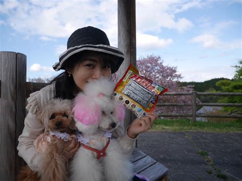 プロ野球チップス2022年版皆さんもう食べた ホリプロアナウンサー田中めぐみMegumi Blog