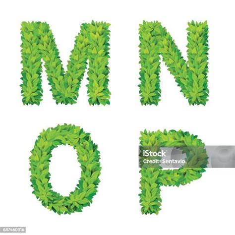 Abc 잔디 잎 편지 숫자 요소 현대 자연 게시 잎이 잎 낙 엽 벡터 집합 문자 M N O P 잎 Leafed Foliated 자연 편지 라틴어 영국 알파벳 글꼴 컬렉션