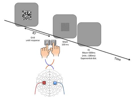 Figure 1 From Differential Bilateral Primary Motor Cortex Tdcs Fails To