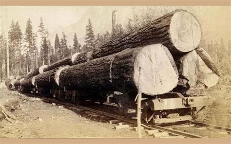 Flatcar Linux The Coreos Operating System Lives On Beyond Red Hat Rlinux