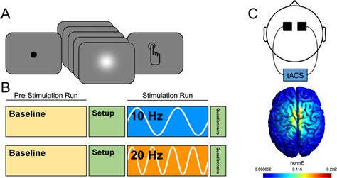 A Task Design For Visual Temporal Bisection Subjects Viewed A Download Scientific Diagram