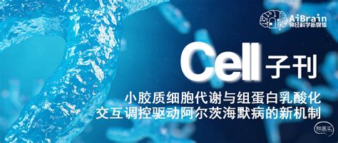 Nat Metab丨张杰团队揭示小胶质细胞糖脂代谢调控新机制，为阿尔茨海默病的防治提供新策略 脑医汇